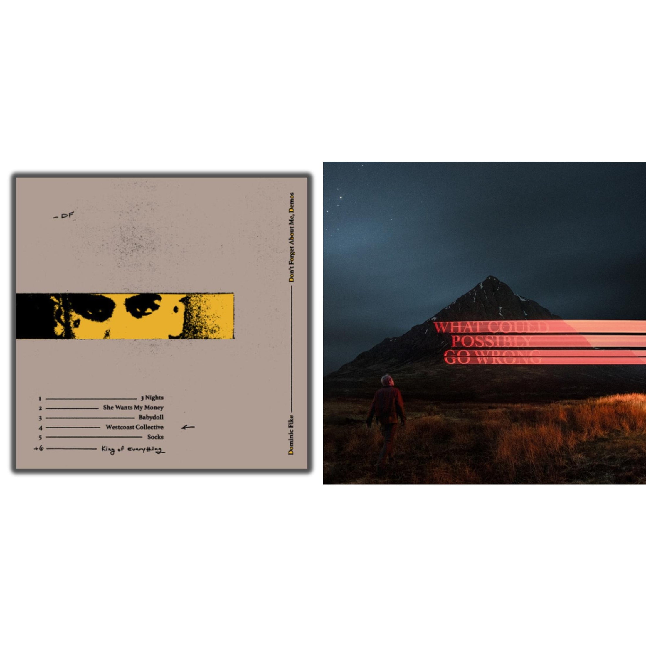 Don't Forget About Me, Demos (150G) & What Could Possibly Go Wrong (X ...