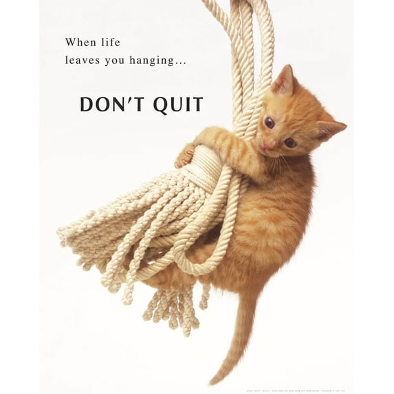 Don't Quit Cute Cat Kitten Animal Motivational Poster 16 x 20 inches ...