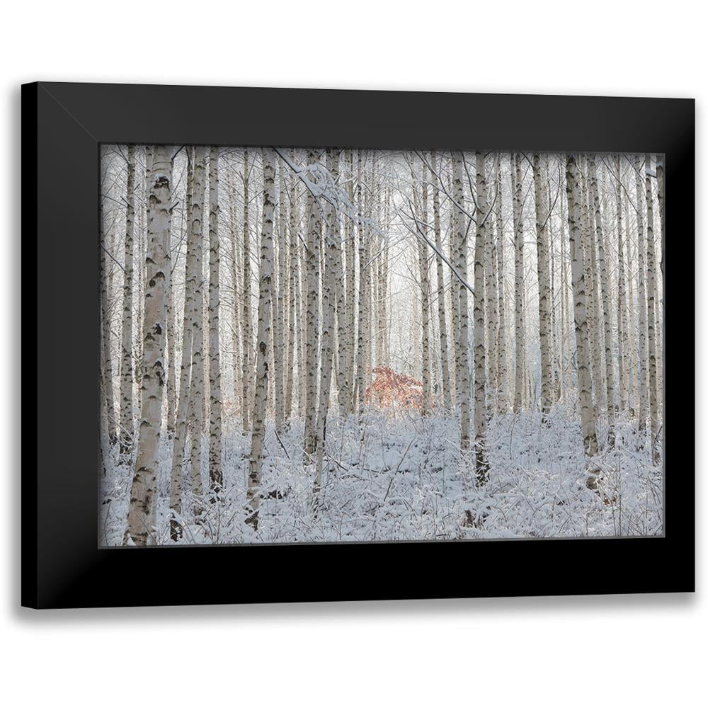 Dong Hee, Han 24x18 Black Modern Framed Museum Art Print Titled - White ...