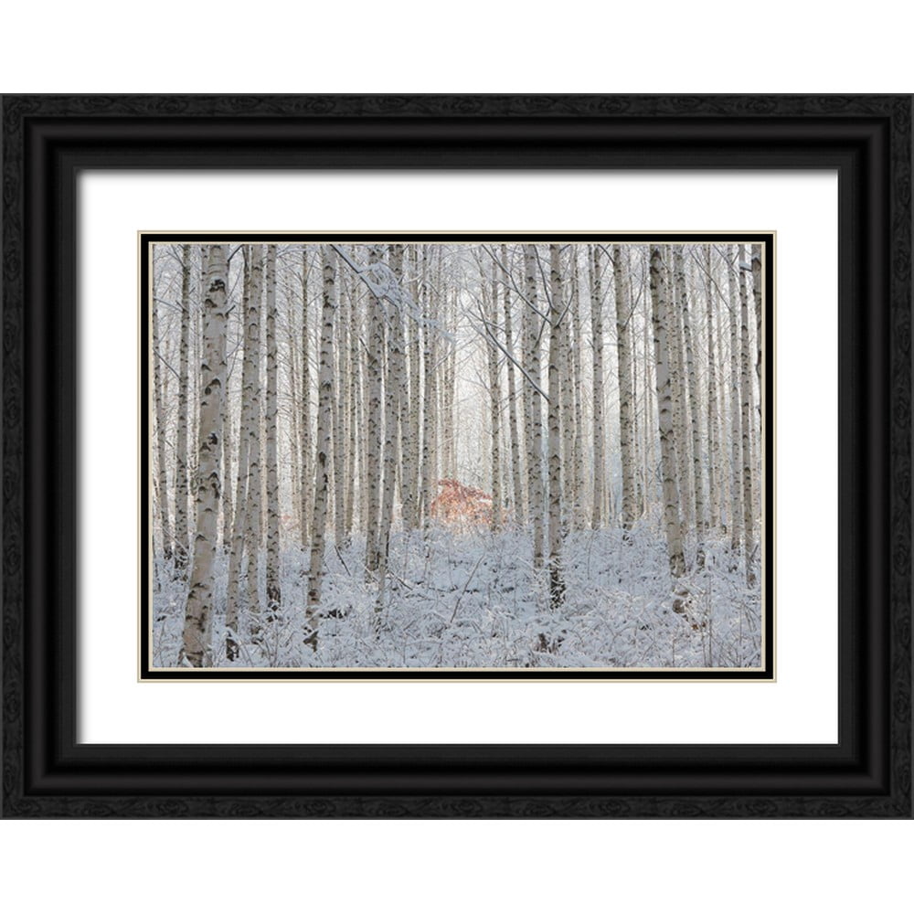 Dong Hee, Han 24x18 Black Ornate Wood Framed with Double Matting Museum ...