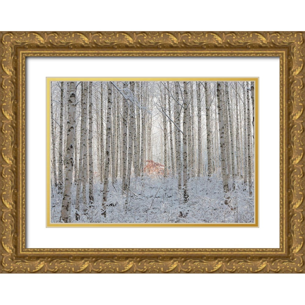 Dong Hee, Han 32x23 Gold Ornate Wood Framed with Double Matting Museum ...