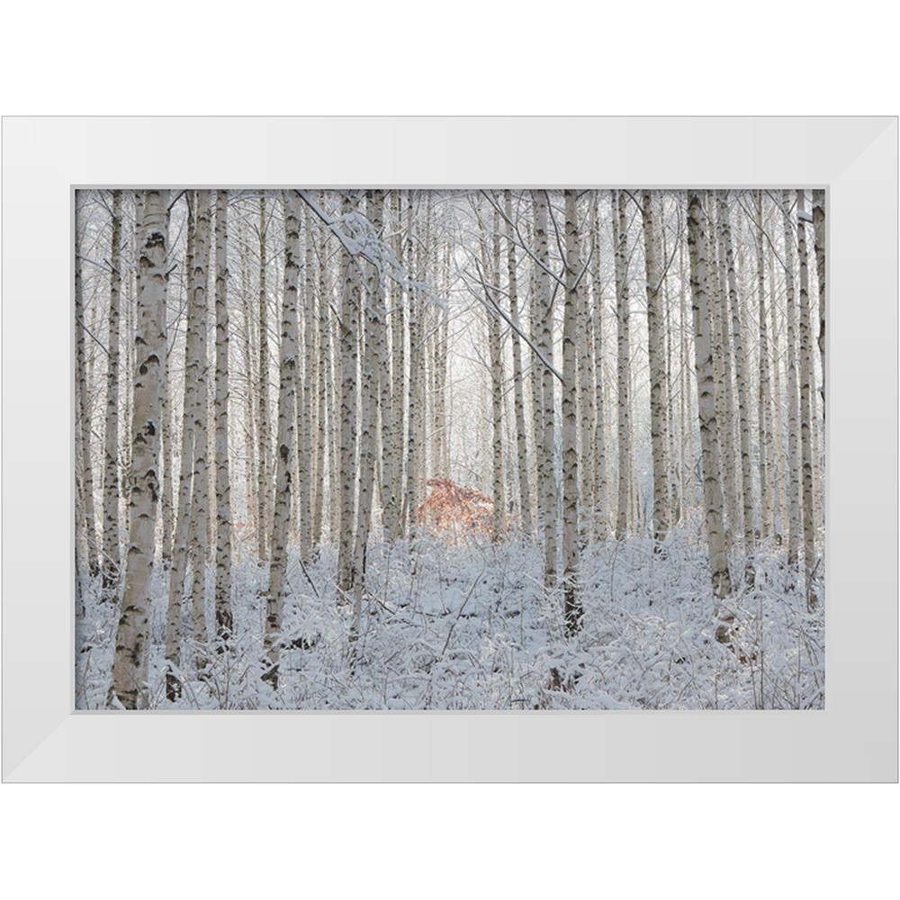 Dong Hee, Han 32x23 White Modern Wood Framed Museum Art Print Titled ...