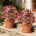 Dongrere 2 Pcs Artificial Red Pink Geranium Stakes, Fade Resistant ...