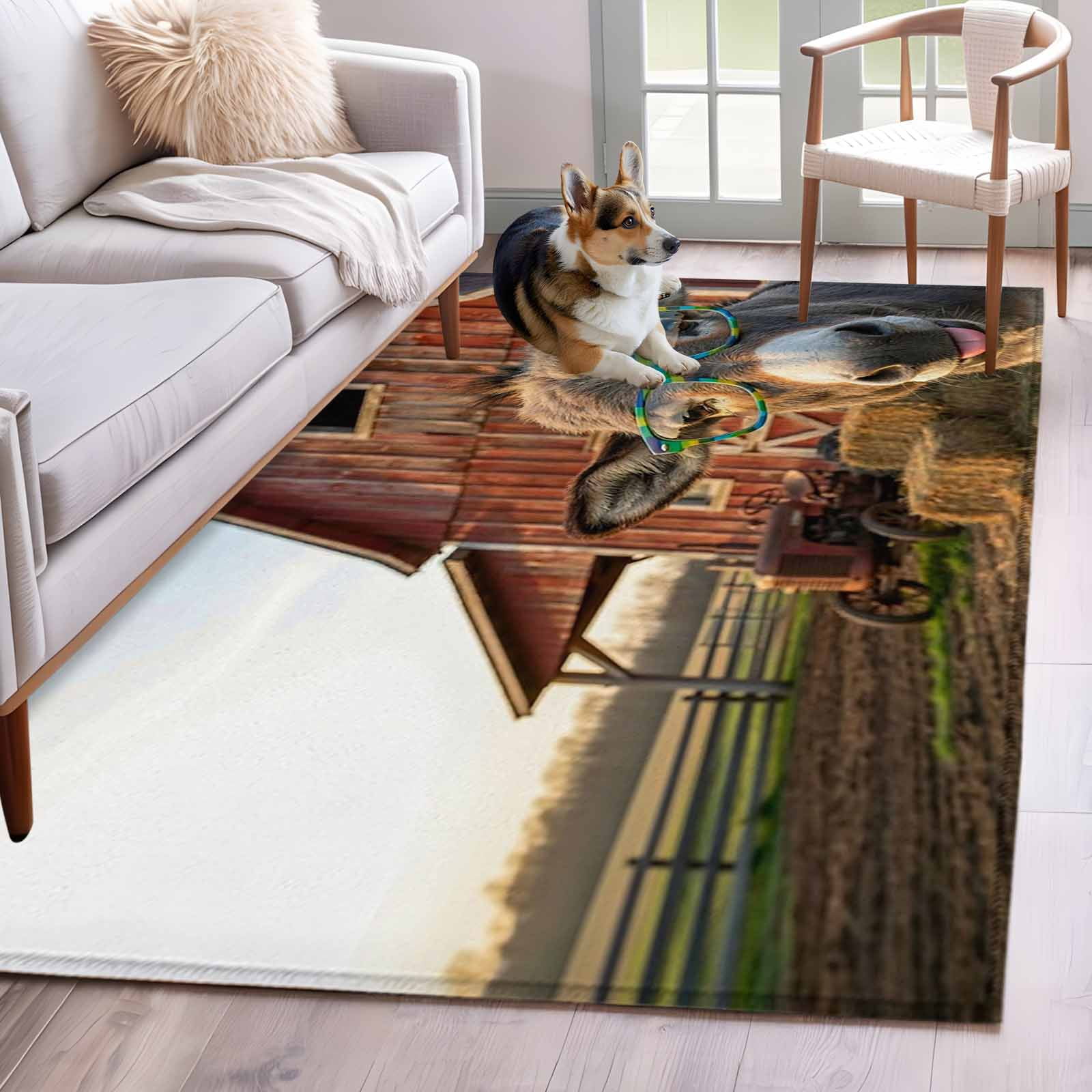 Donkey Butterfly Area Rugs 3x5 ft Funny Farm Sunglasses Donkey ...