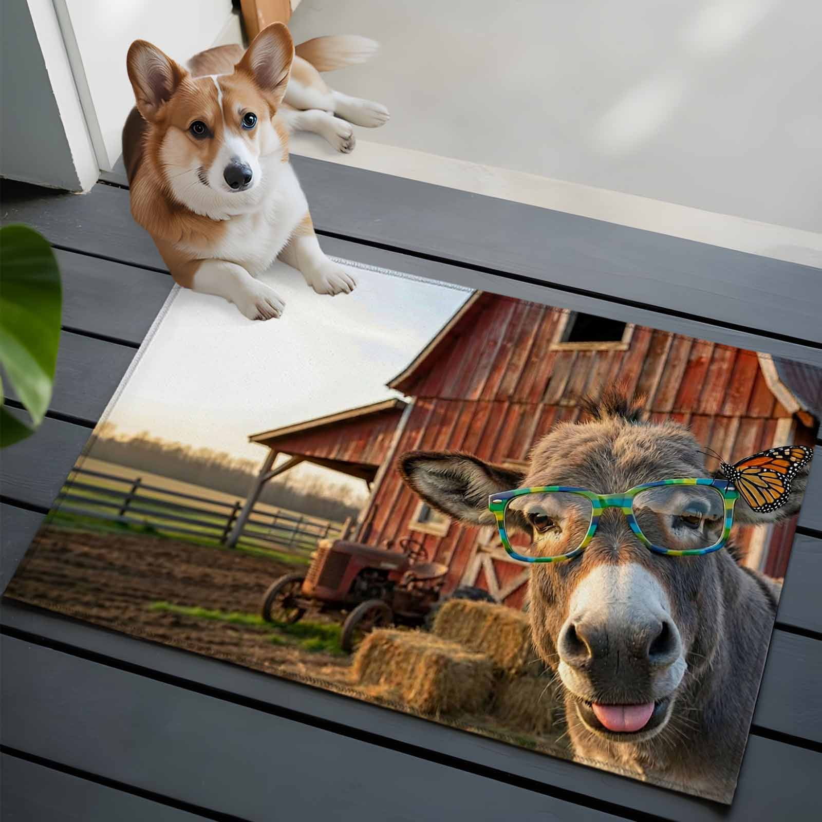 Donkey Butterfly Front Door Rugs 2x3 ft Funny Farm Sunglasses Donkey ...