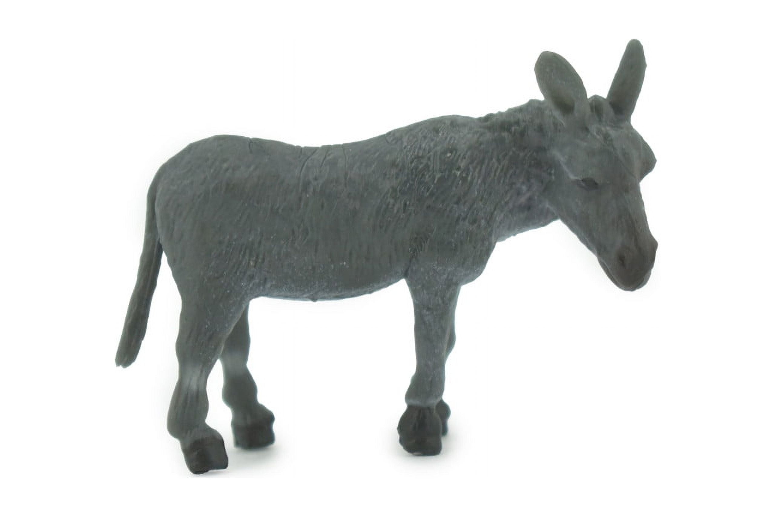 Donkey, Domesticated equine, Jackass, High Quality, Hand Painted ...