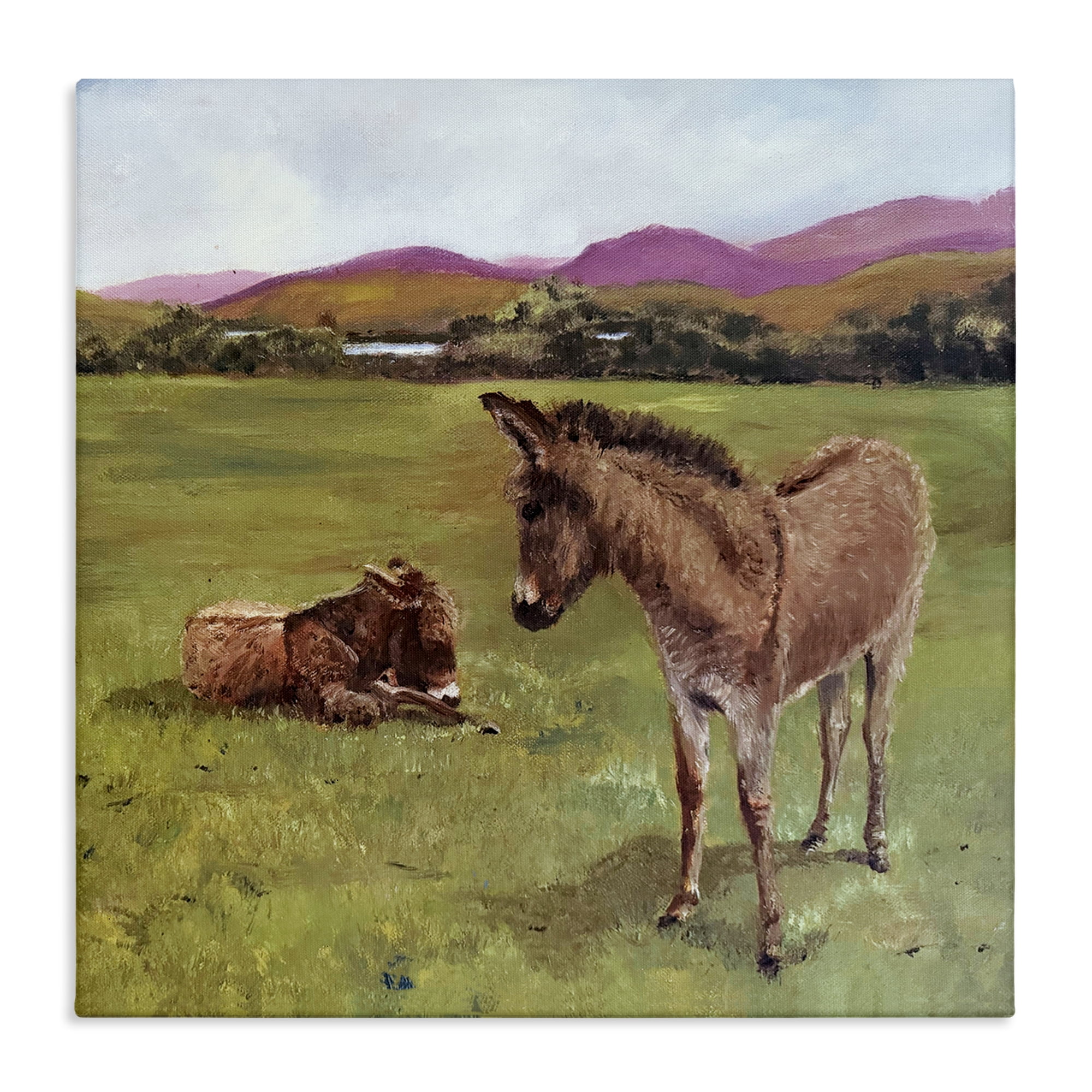 Donkey Duo in Pasture Canvas Wall Art, design by Patricia Reynolds ...