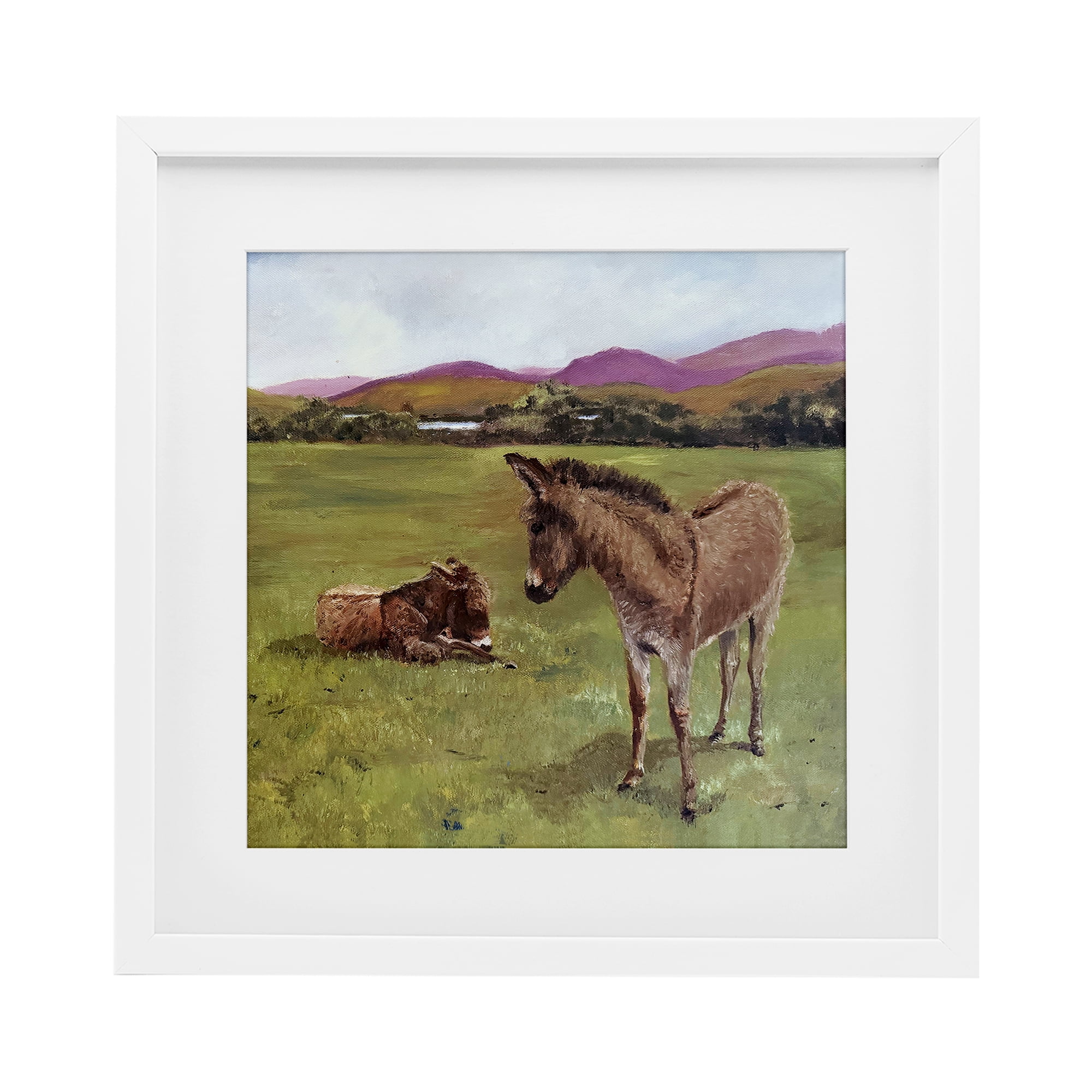 Donkey Duo in Pasture White Framed Print Under Glass, design by ...
