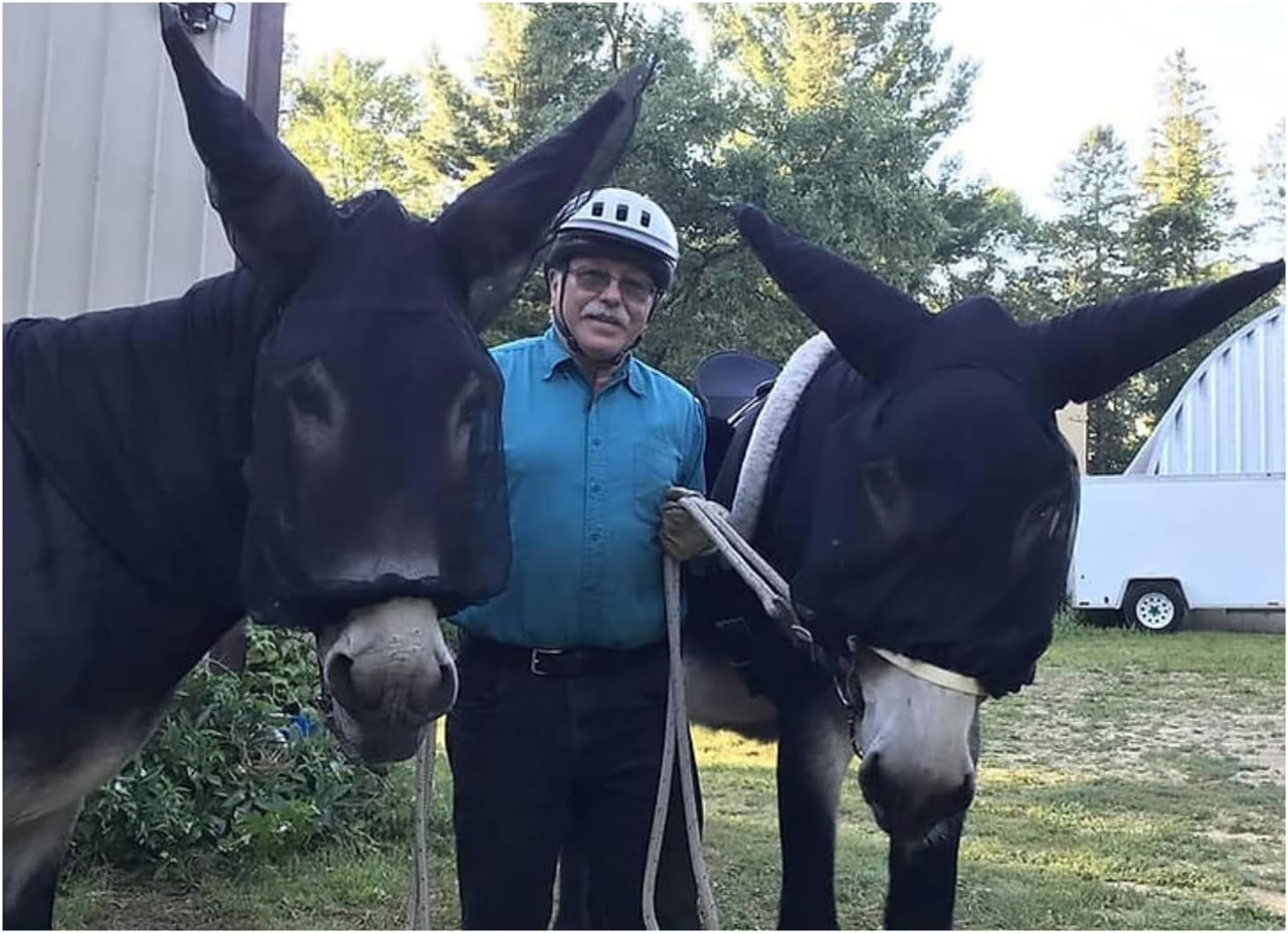 Donkey Mask, Small Standard Donkey Fly Mask, Soft Mesh Fly Mask, Larger ...