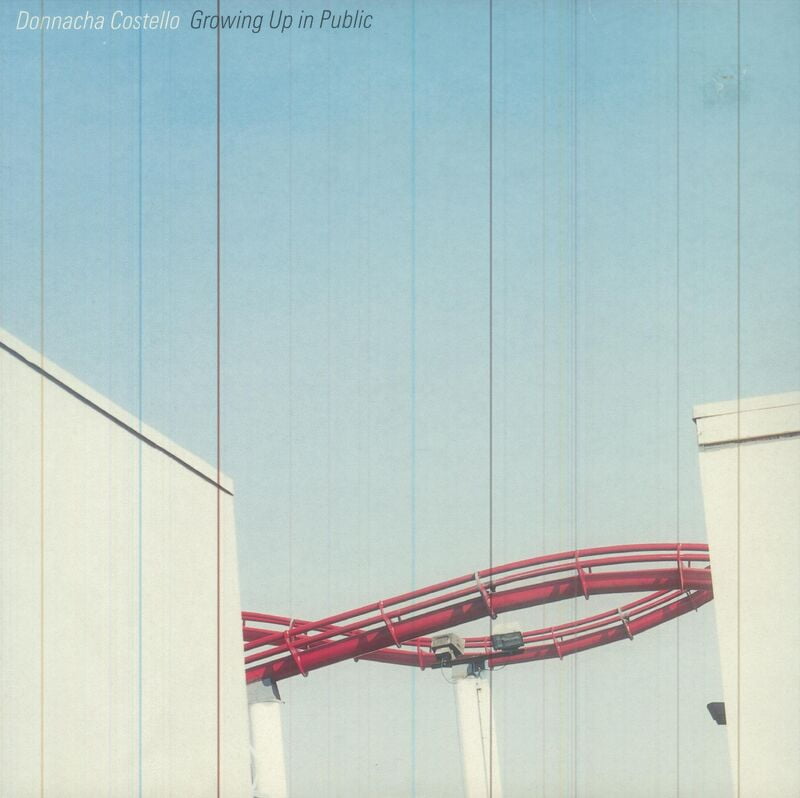 Donnacha Costello - Growing Up in Public - 2xLP Vinyl - Walmart.com