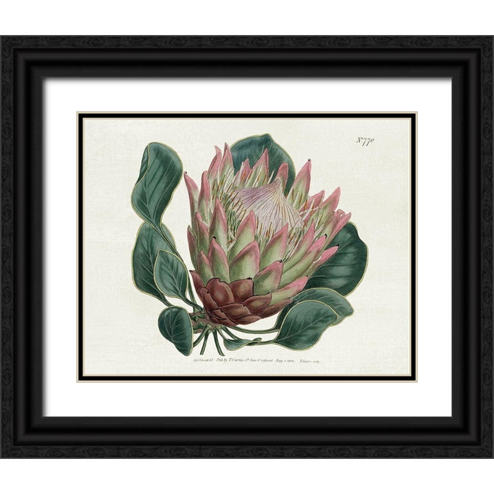 Donovan, Kelly 14x12 Black Ornate Wood Framed with Double Matting Museum Art Print Titled ...