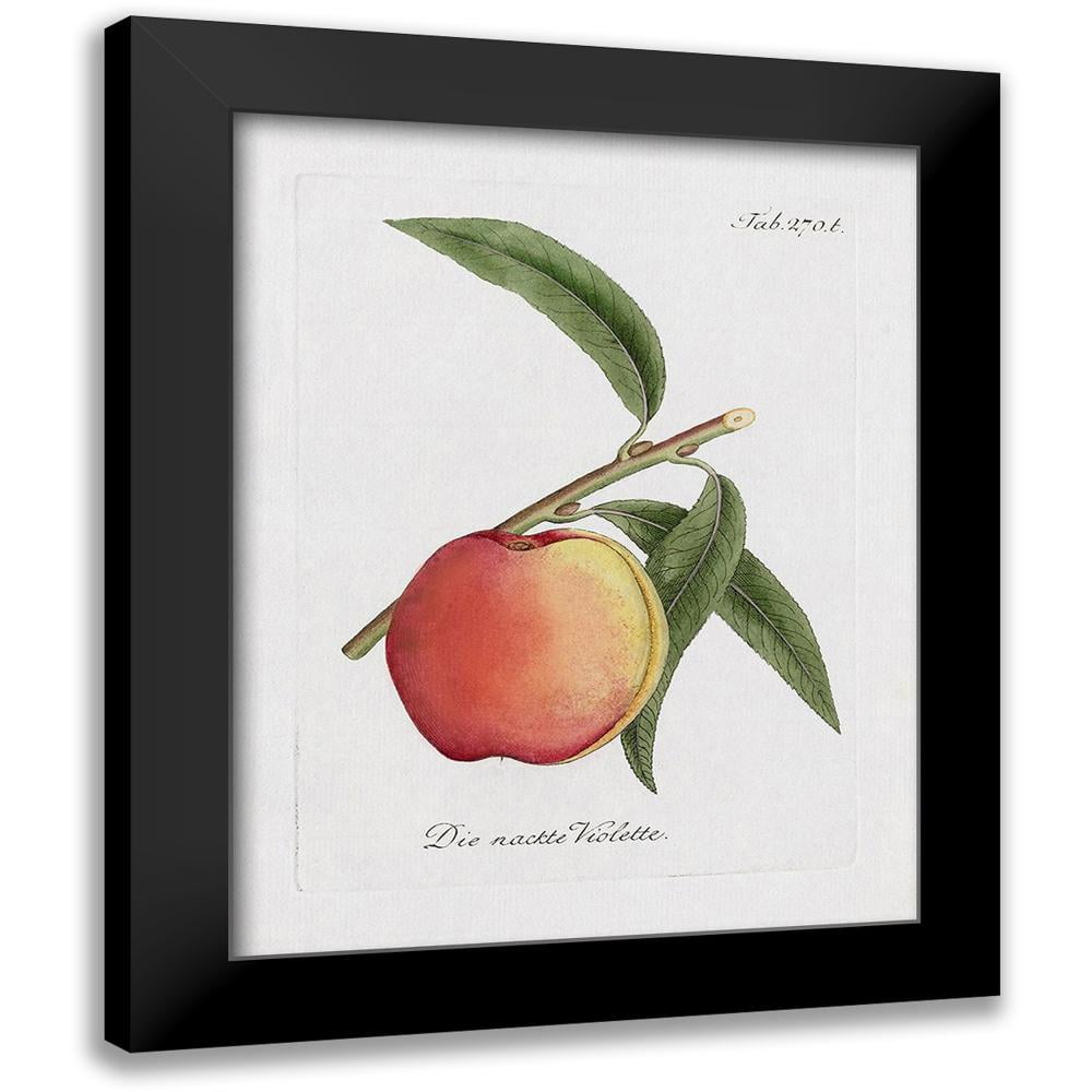 Donovan, Kelly 15x18 Black Modern Framed Museum Art Print Titled ...