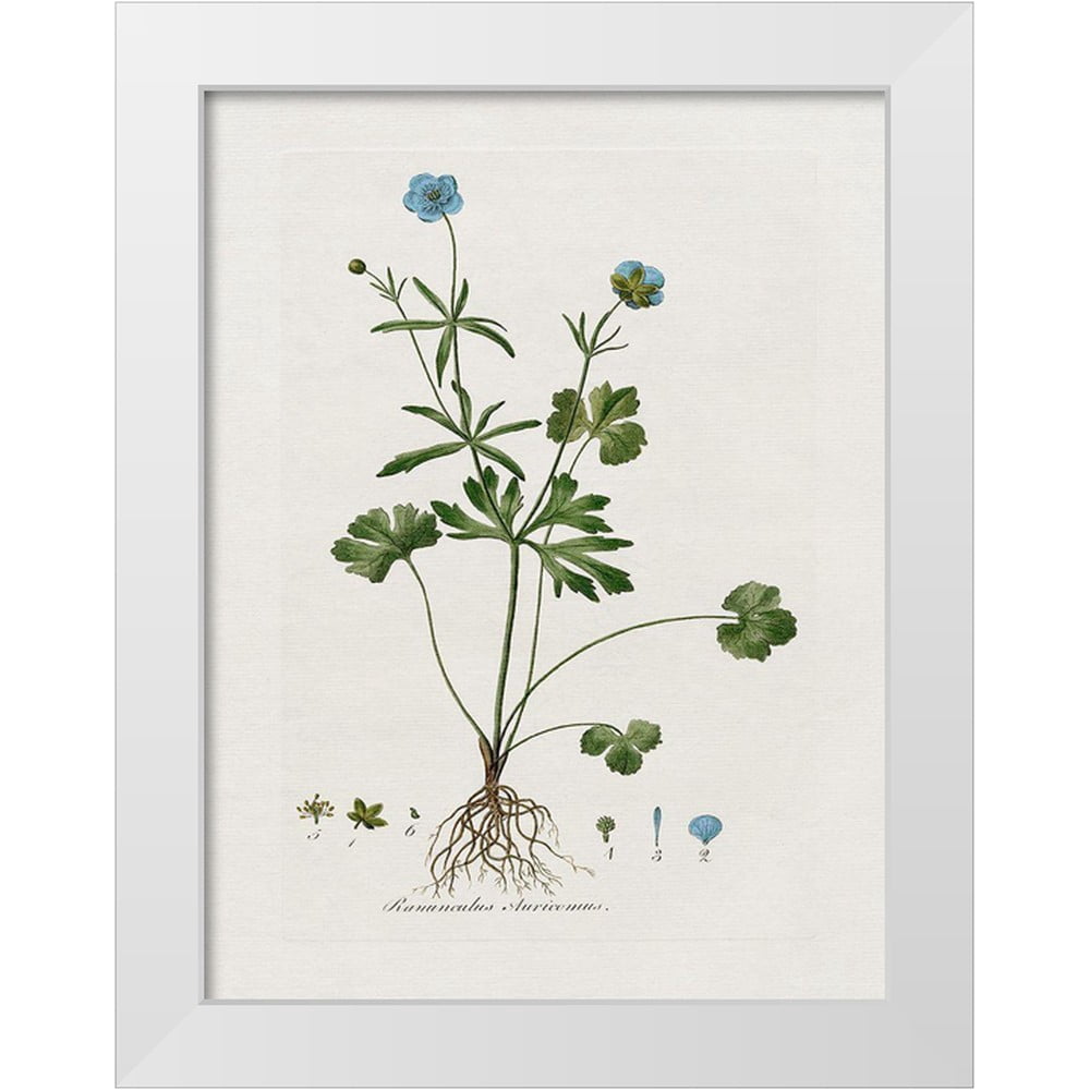 Donovan, Kelly 19x24 White Modern Wood Framed Museum Art Print Titled ...