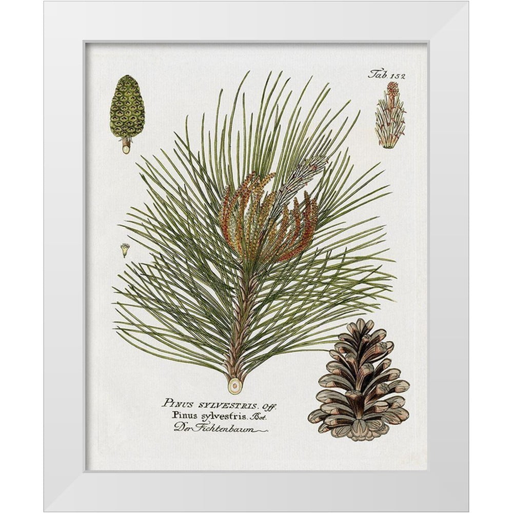 Donovan, Kelly 26x32 White Modern Wood Framed Museum Art Print Titled ...