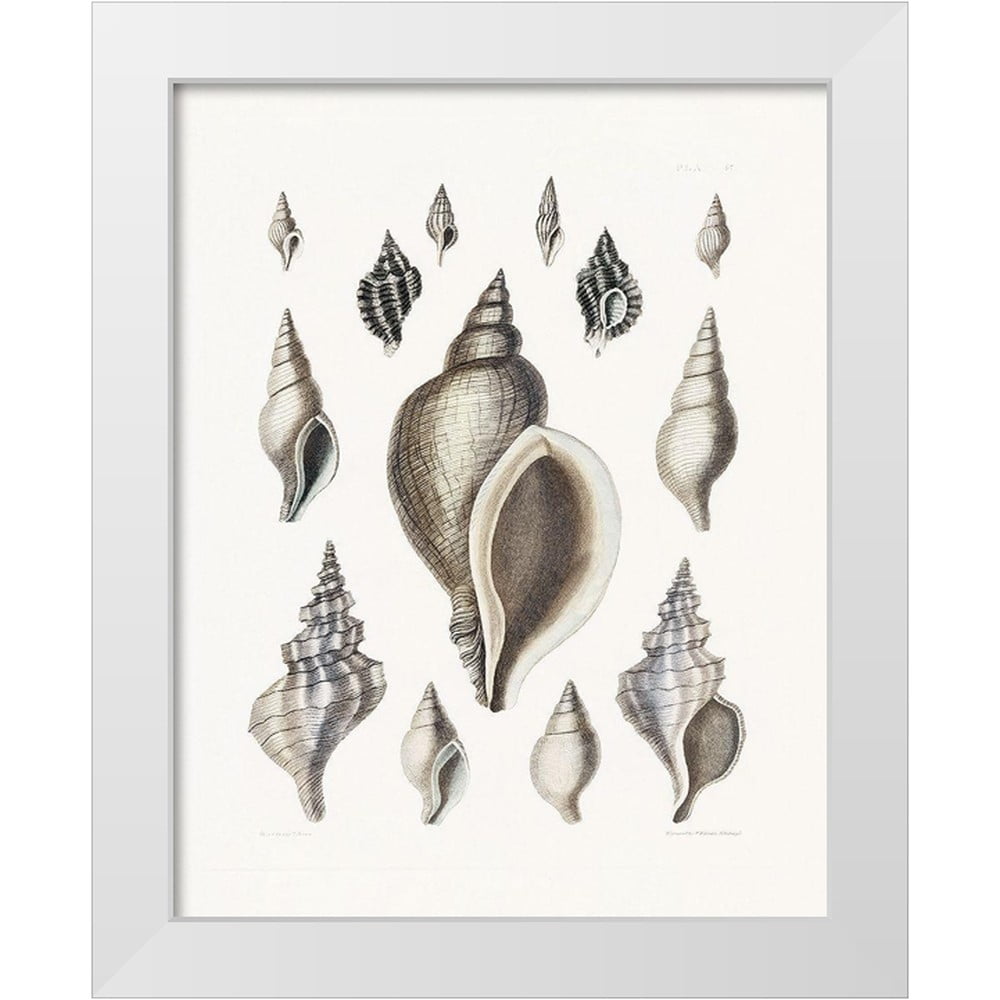 Donovan, Kelly 26x32 White Modern Wood Framed Museum Art Print Titled ...