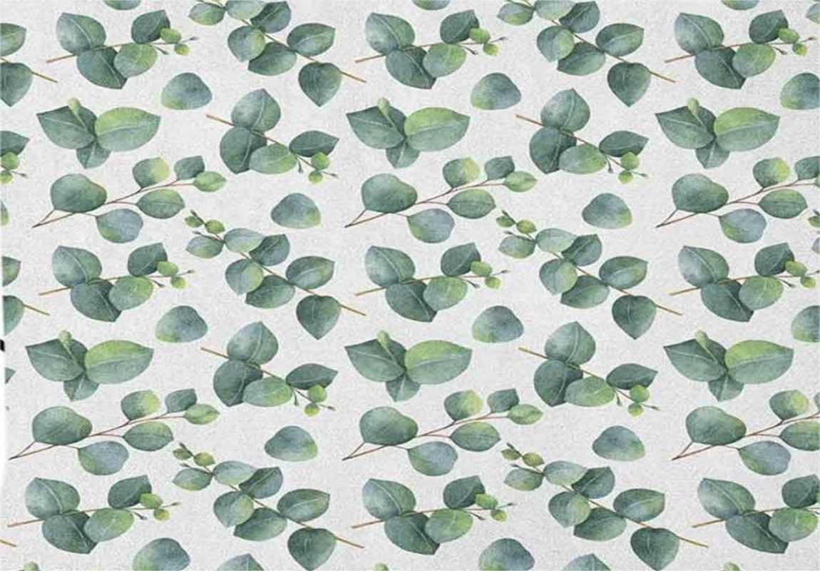 Doodle Photography Background Watercolor Backdrop Drawing Feathers ...