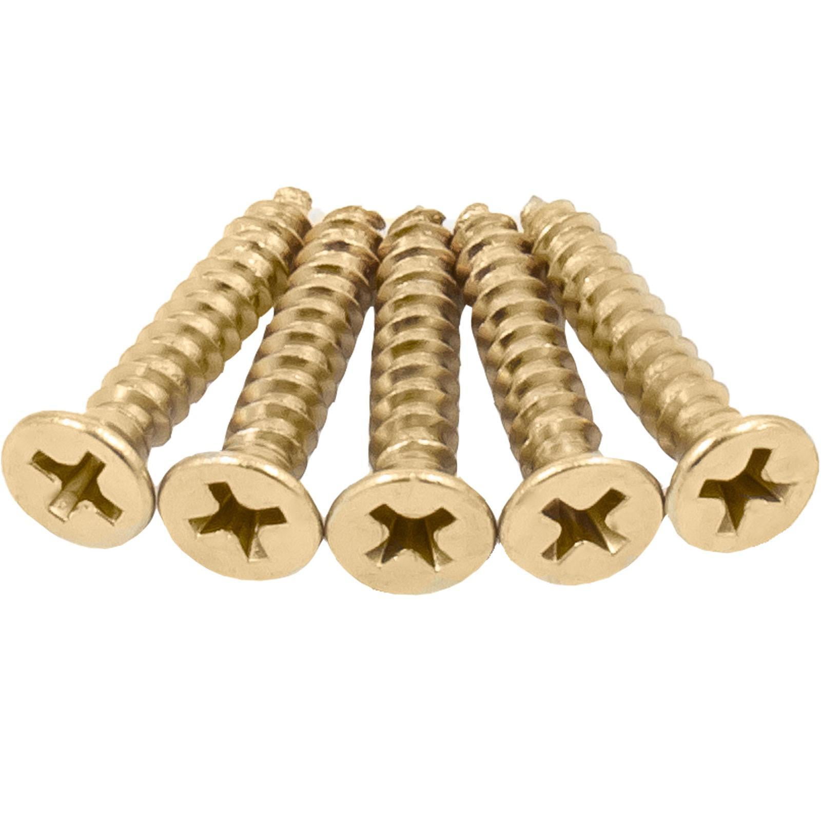 Door Hinge Screws, #9 x 1", 800-Pack, Polished Brass by Stone Harbor ...