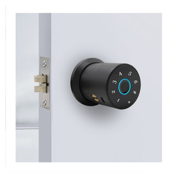 Laiye Smart Locks - Advanced Security Solutions for Your Business ...