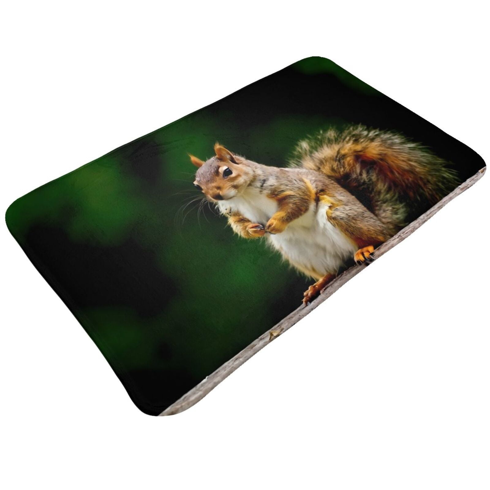 Door Mat for Indoor, Squirrels Eating Peanuts On The Tree Welcome Door ...