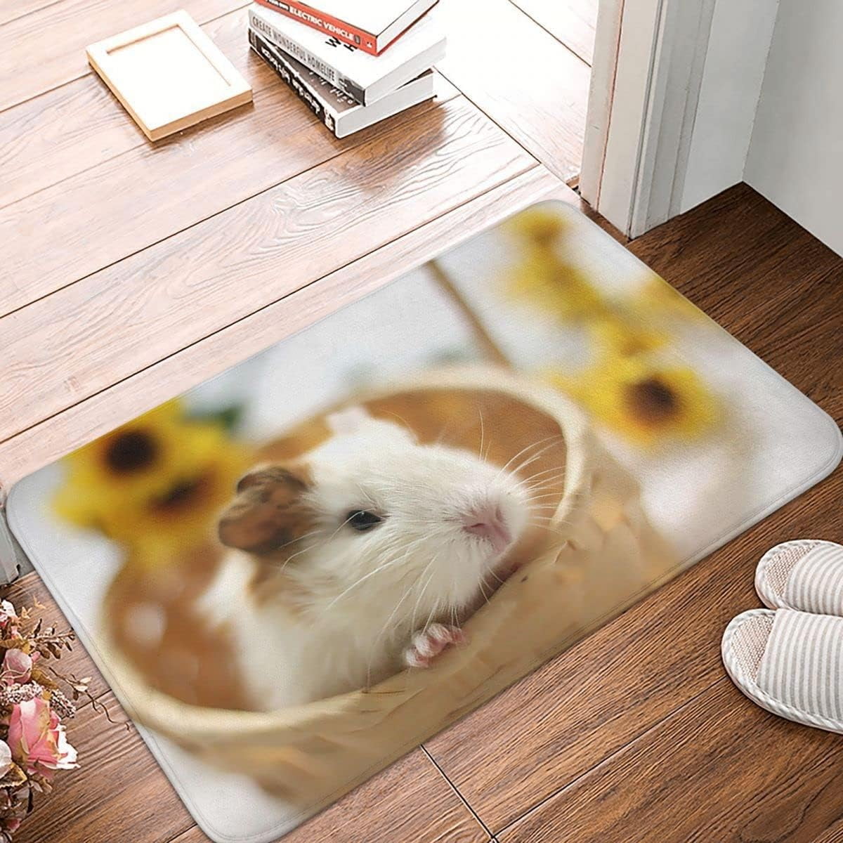 Door Mat Rug Guinea Pig Doormat Bedroom Entrance Balcony Mat Animal ...