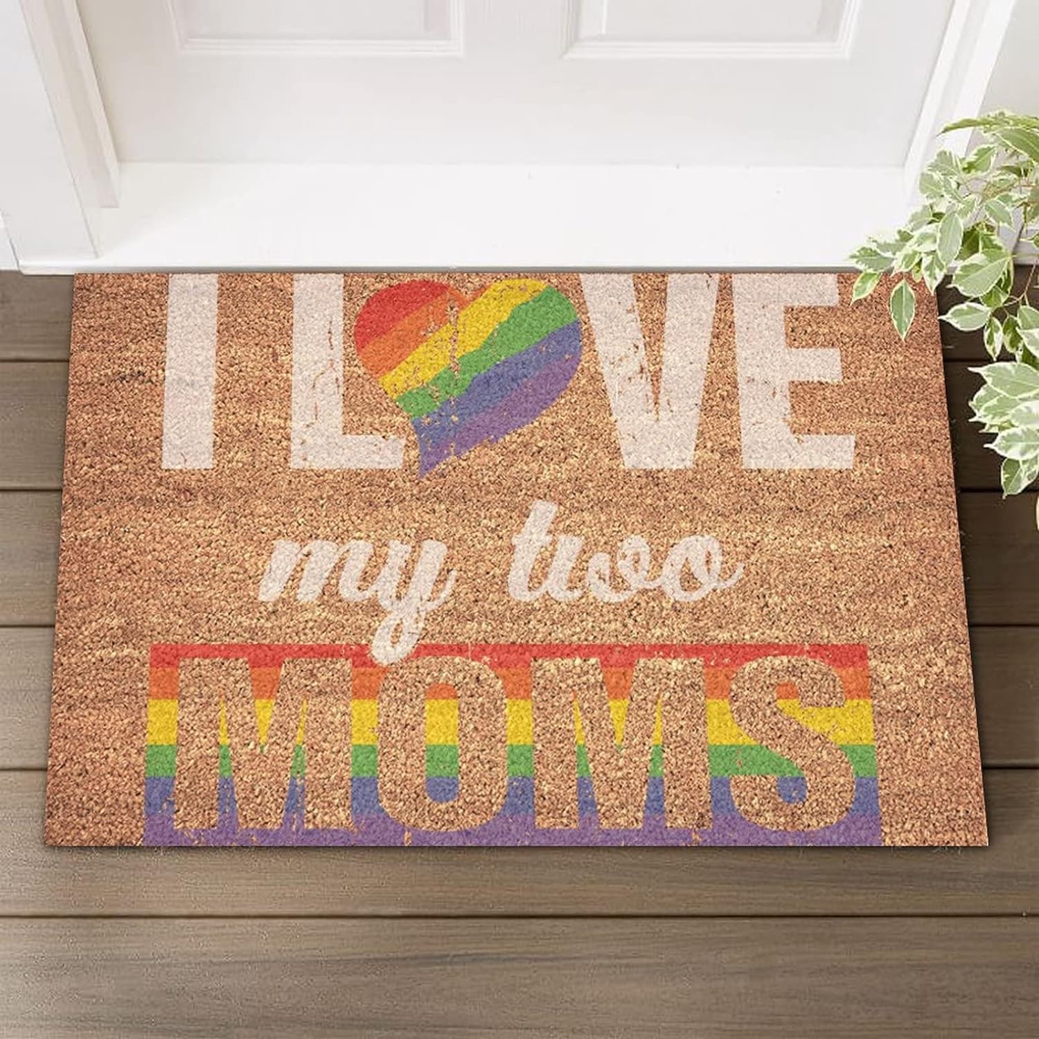Door Rugs for Entryway Indoor LGBTQ Rainbow Gay Pride Natural Coconut ...