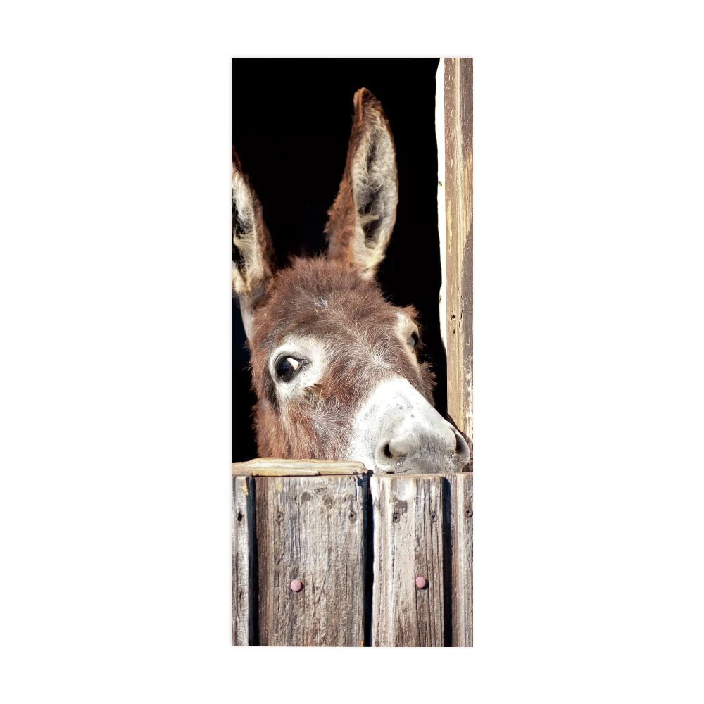 Door stickers covered with stickers Medieval bookshelves Modern ...