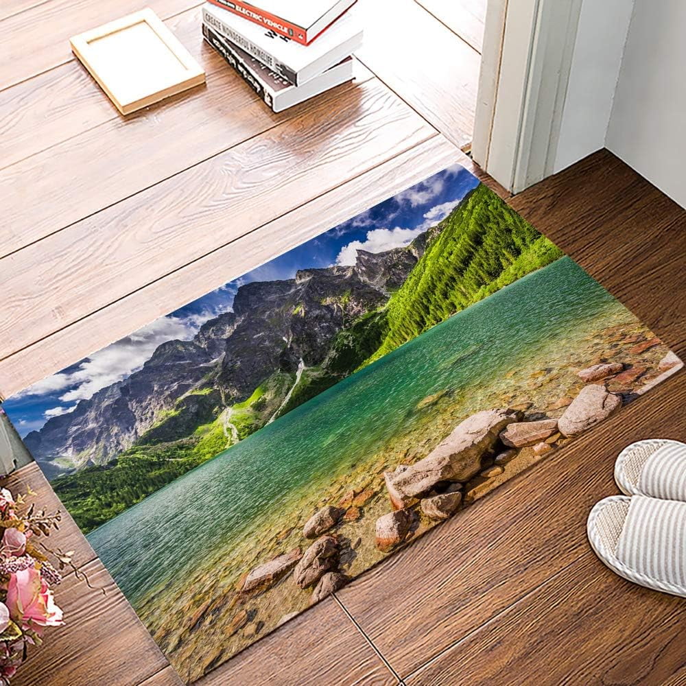 Doormat 16x24 Inch Door Mat Doormat Front Door Rugs Green Lush Bamboo ...