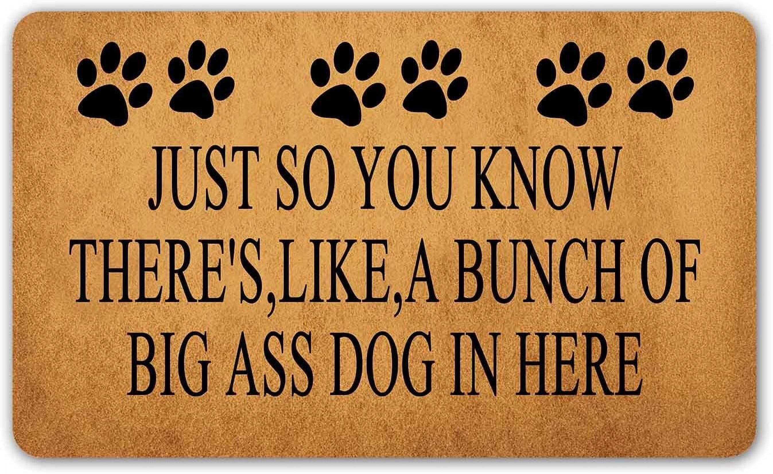 Doormat 16x24 Inch Funny Welcome Doormat Entrance Way Decor Indoor Welcome Mat There'S Like A ...