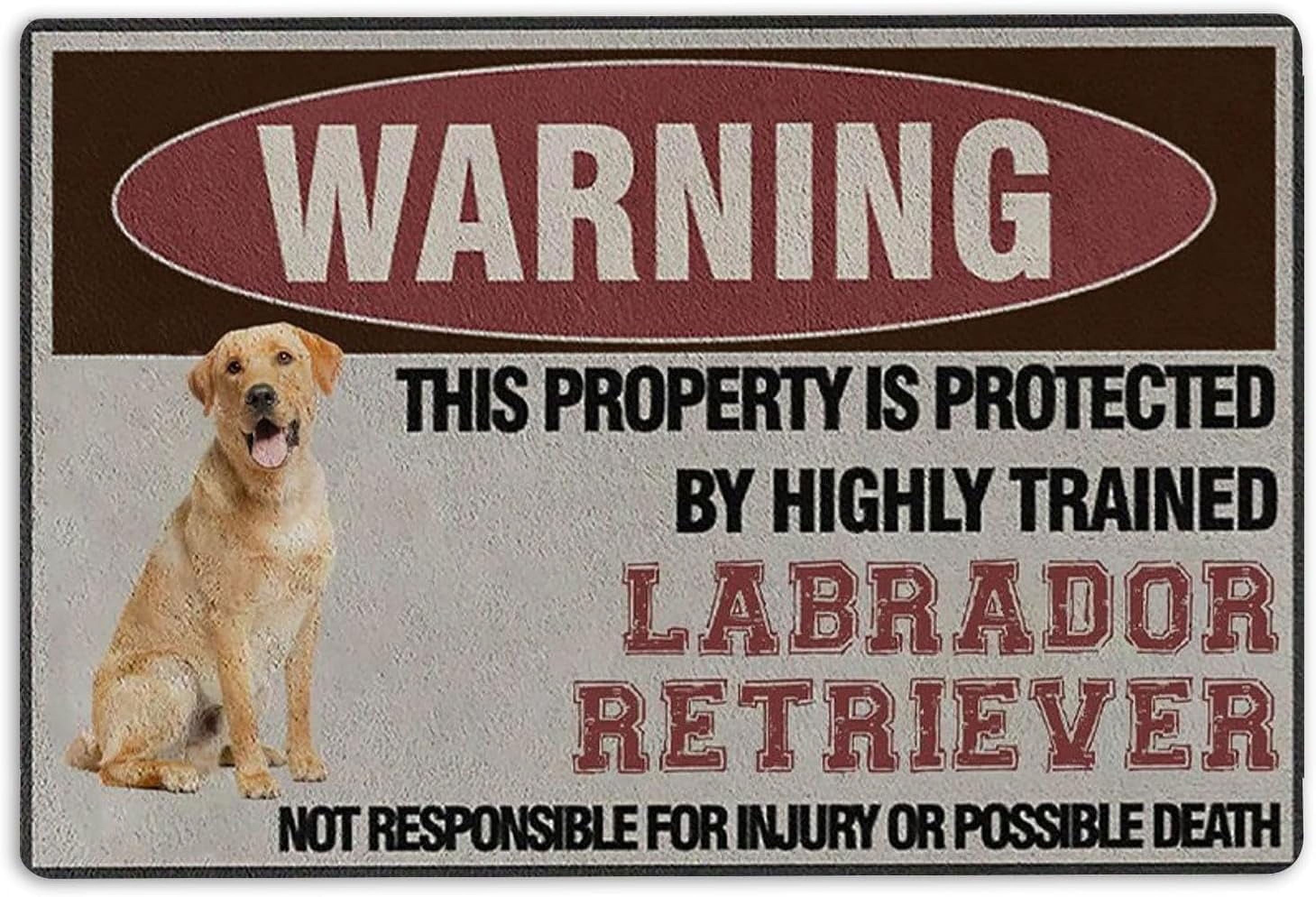 Doormat 16x24 Inch Labrador Retriever Door Mat Property Protected By ...