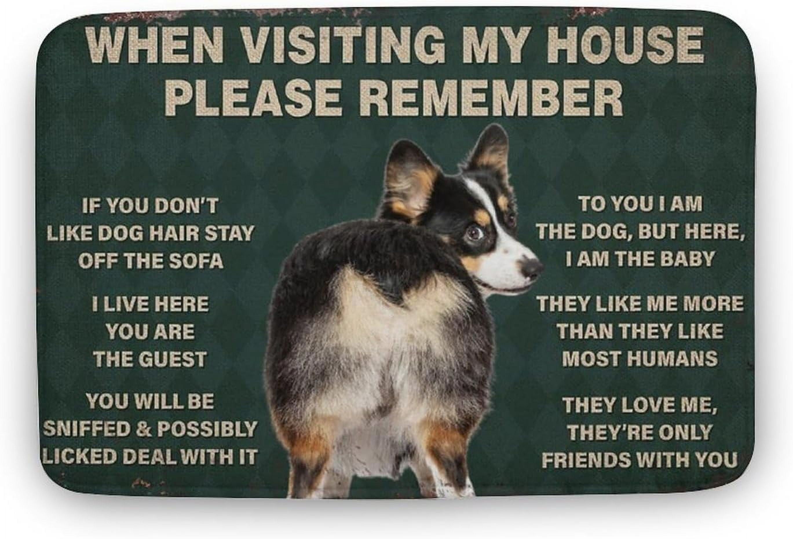 Doormat 17x30 Inch Dog When Visiting My House Please Remember Dog Front ...