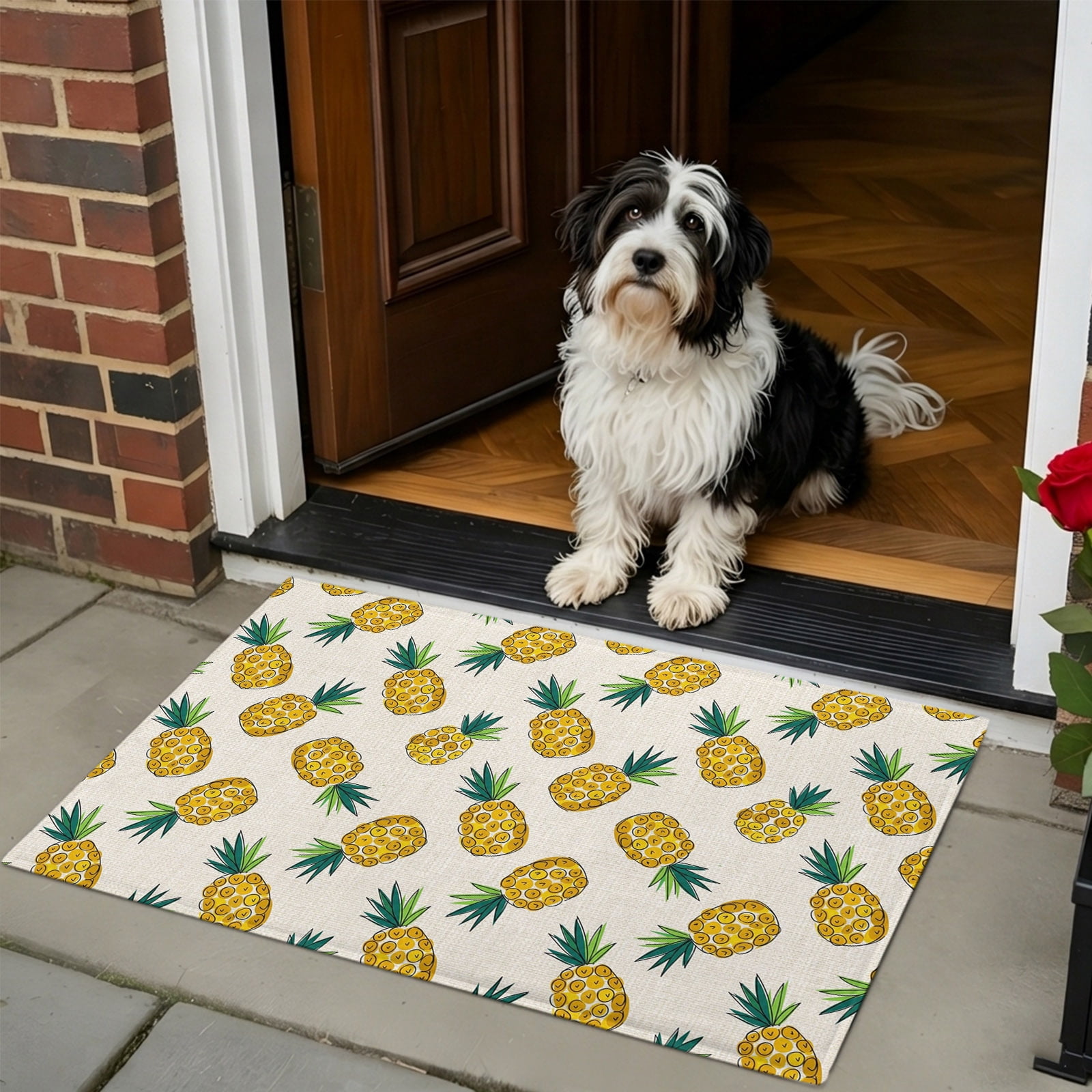 Doormat Bathroom Rugs 24x35in, Fruit Pineapple Pattern Non Slip Door ...