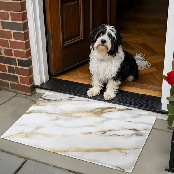 Doormat Bathroom Rugs 24x35in, Modern Simple Marble Texture Non Slip ...