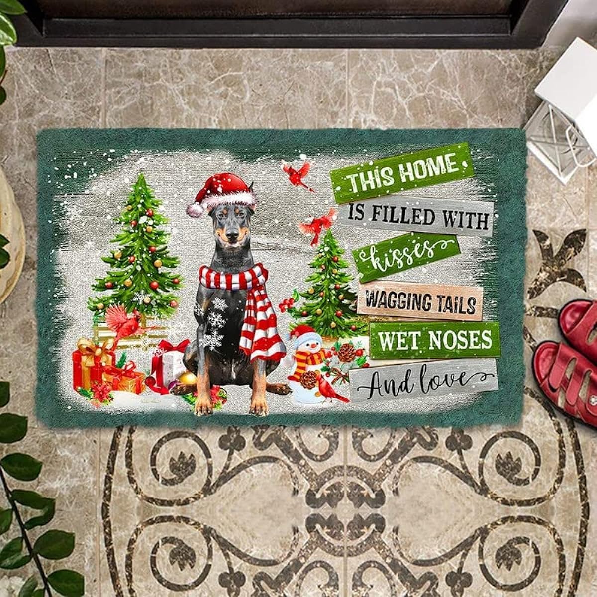 Doormat Indoor Entrance Porch Welcome Non-Slip Bathmat Floor Mat This ...