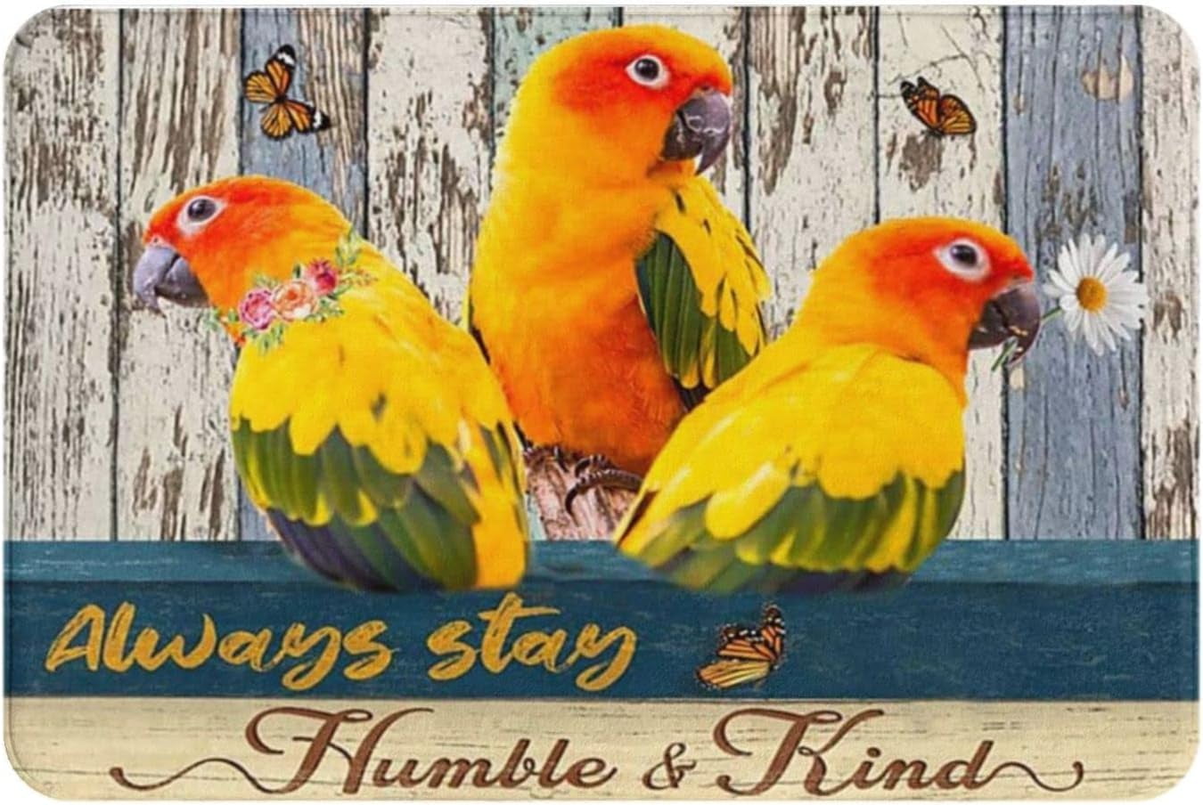 Doormat Indoor Entrance Welcome Parrot Always Stay Humble and Kind ...