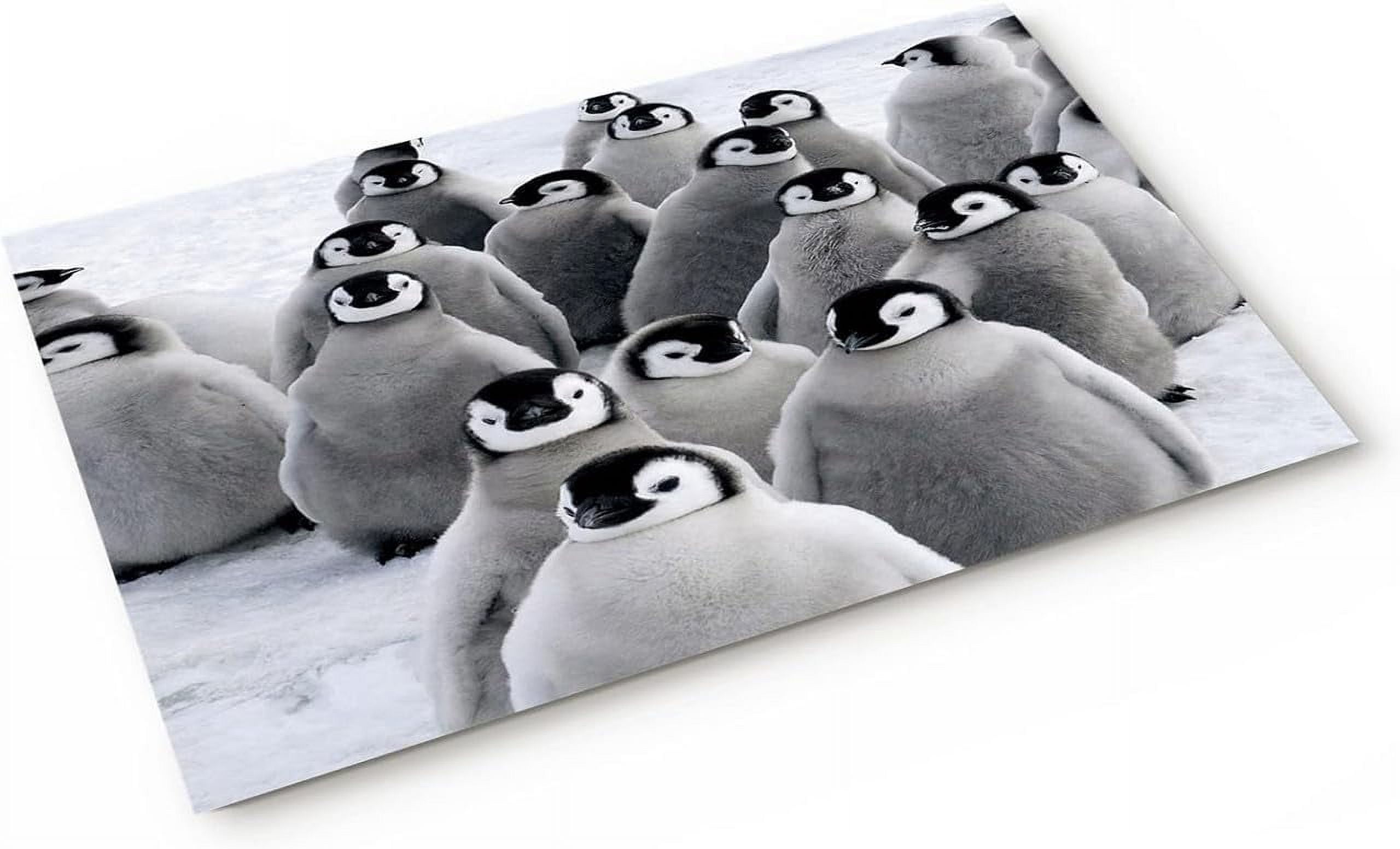 Doormat Welcome Penguin Antarctic Penguins Winter Funny Entryway Rugs ...