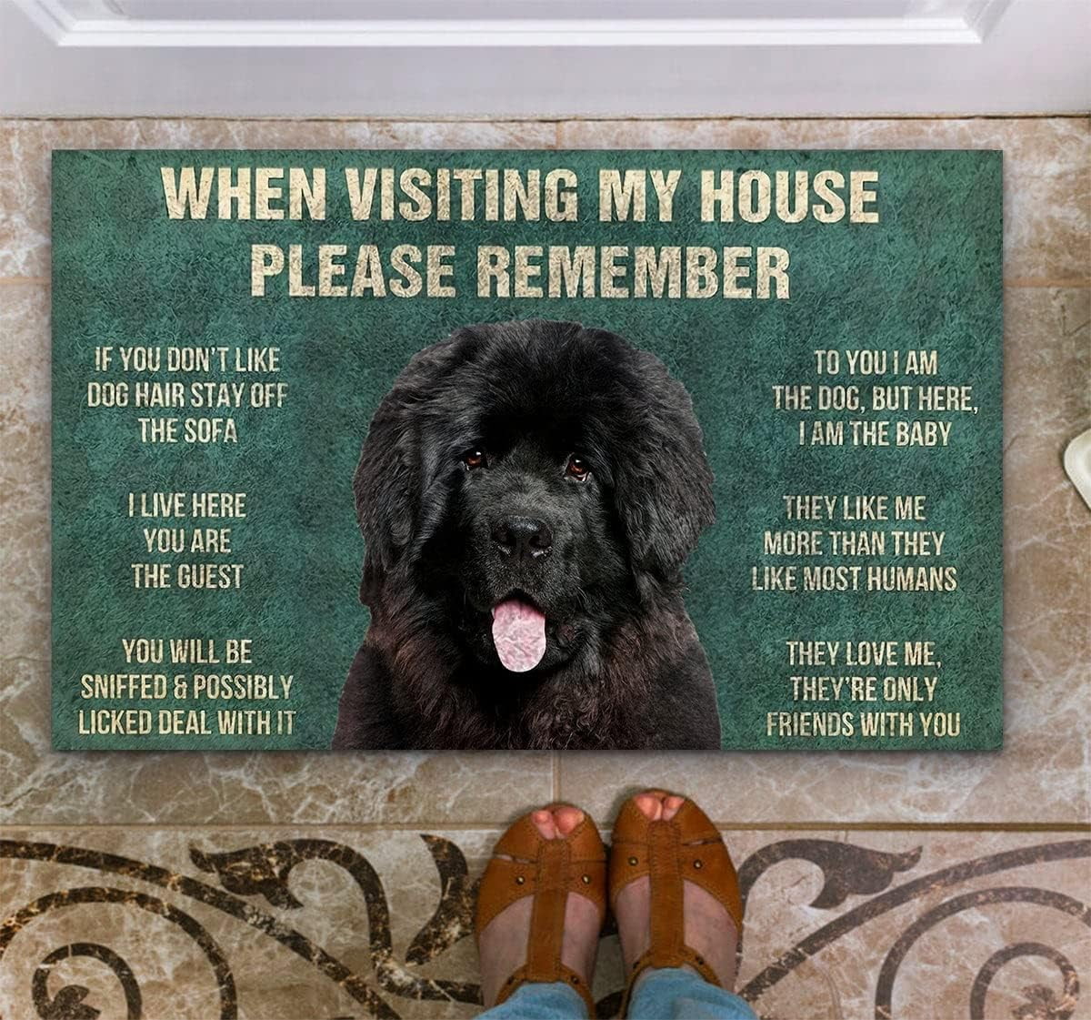 Doormats For Outdoor Entrance Home Funny Please Remember Newfoundland ...