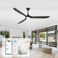 60 inch Modern Black Ceiling Fan with Light, Alexa/APP & Remote Control ...