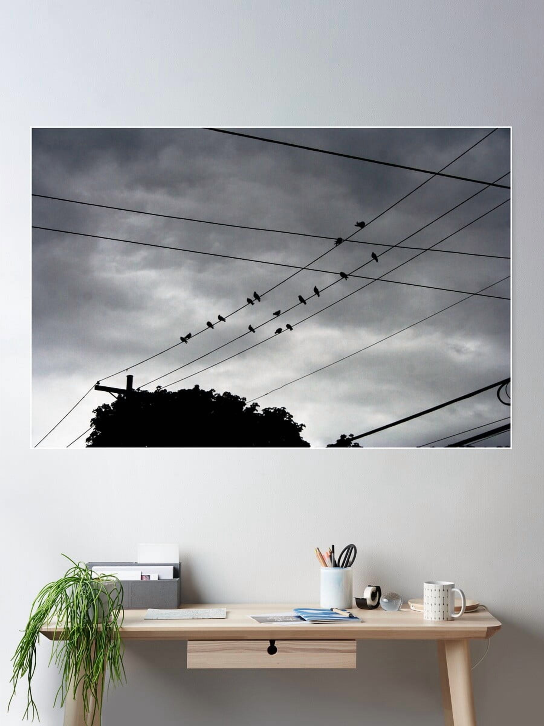 Dopaprint UNFRAMED PAPER POSTER #611 - Pigeons Poster Wall Art, Modern ...