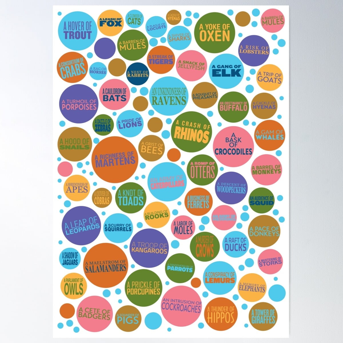 Dopaprint UNFRAMED PAPER POSTER Animal Group Terminology - Circles For ...
