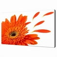 Dopaprint UNFRAMED PAPER POSTER Beautiful Orange Gerbera Daisy Flower ...
