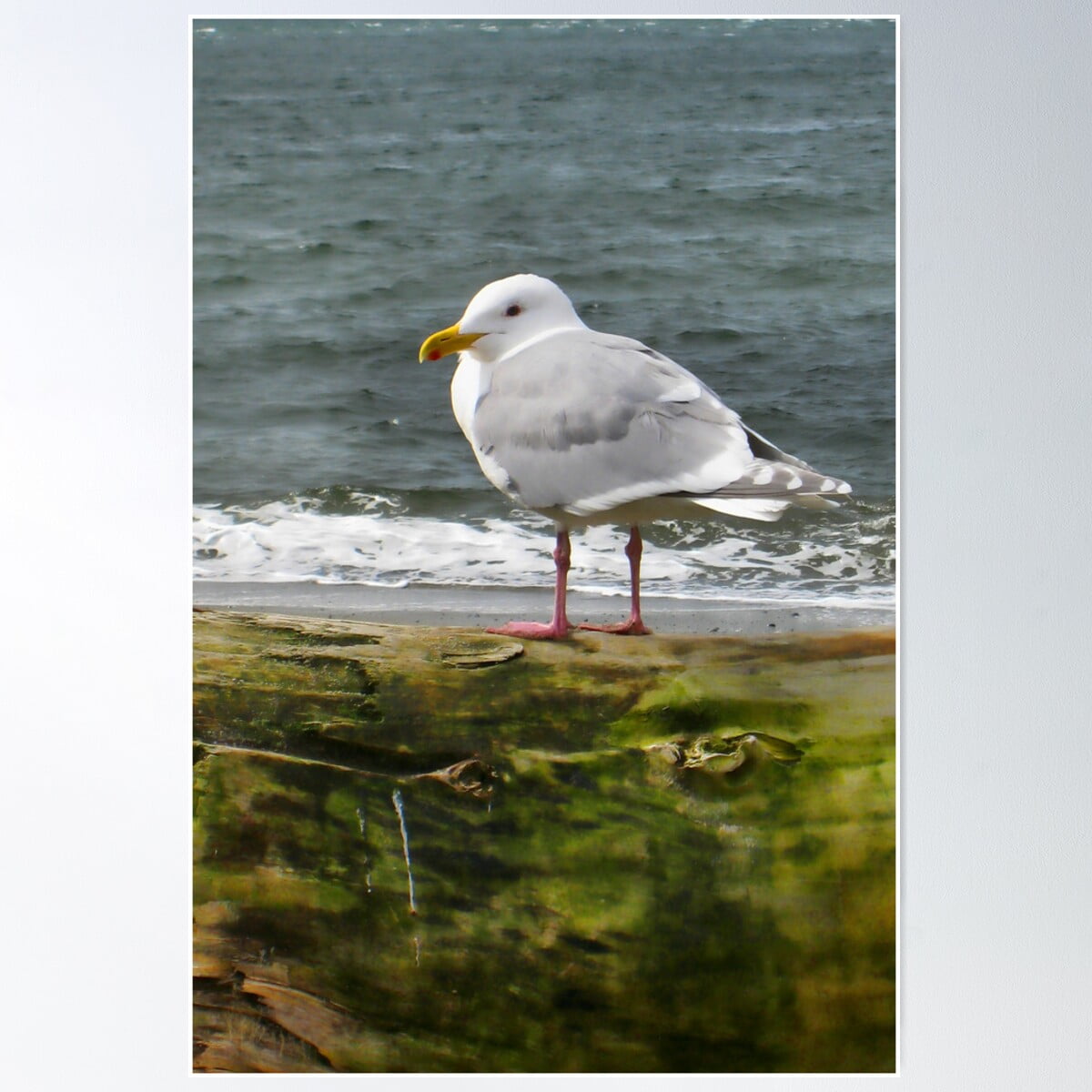 Dopaprint UNFRAMED PAPER POSTER Bird'S Eye View Poster Wall Art, Modern ...