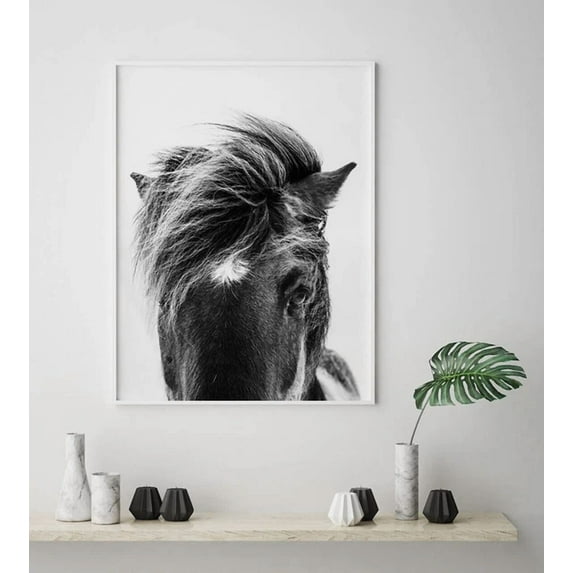Dopaprint UNFRAMED PAPER POSTER Black And White Horse Poster Art, Home ...