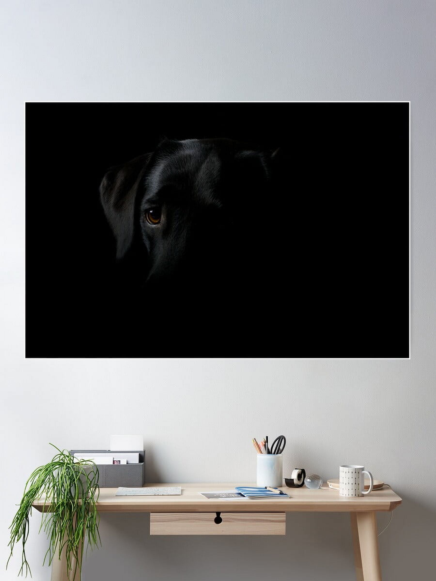 Dopaprint UNFRAMED PAPER POSTER Black Lab Poster Wall Art, Modern Wall ...