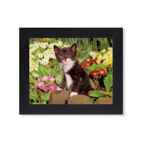 Dopaprint UNFRAMED PAPER POSTER Blue Eyed Baby Kitten Sitting In ...