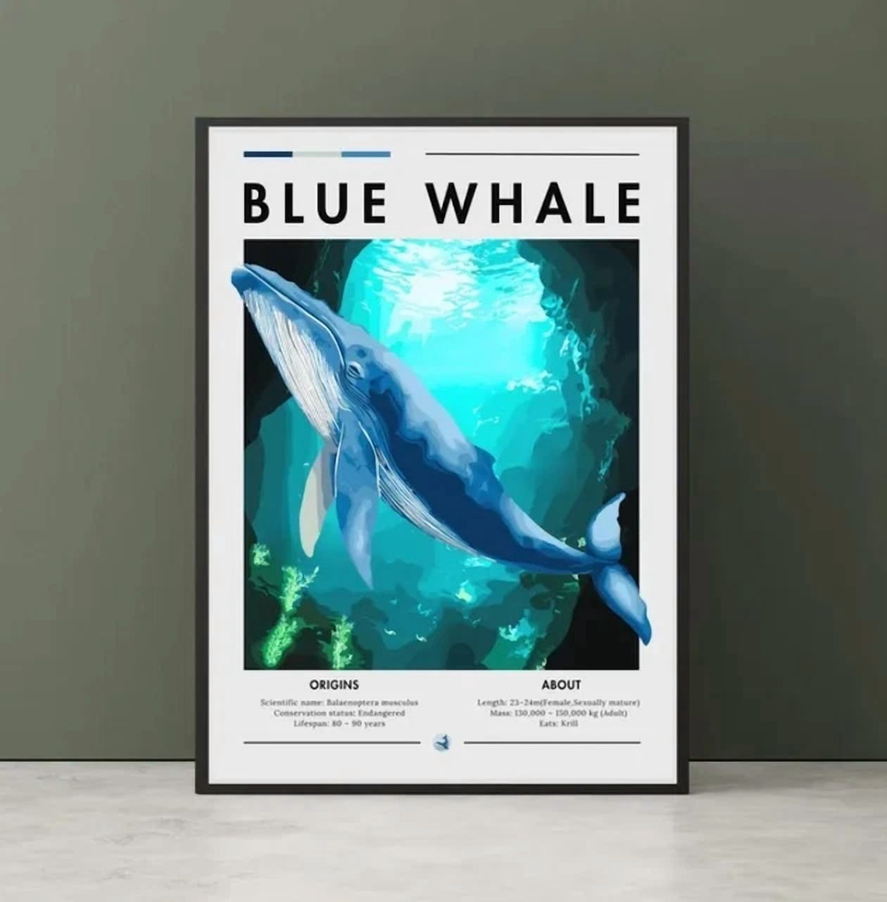 Dopaprint UNFRAMED PAPER POSTER Blue Whale Wall Art - Educational Ocean ...