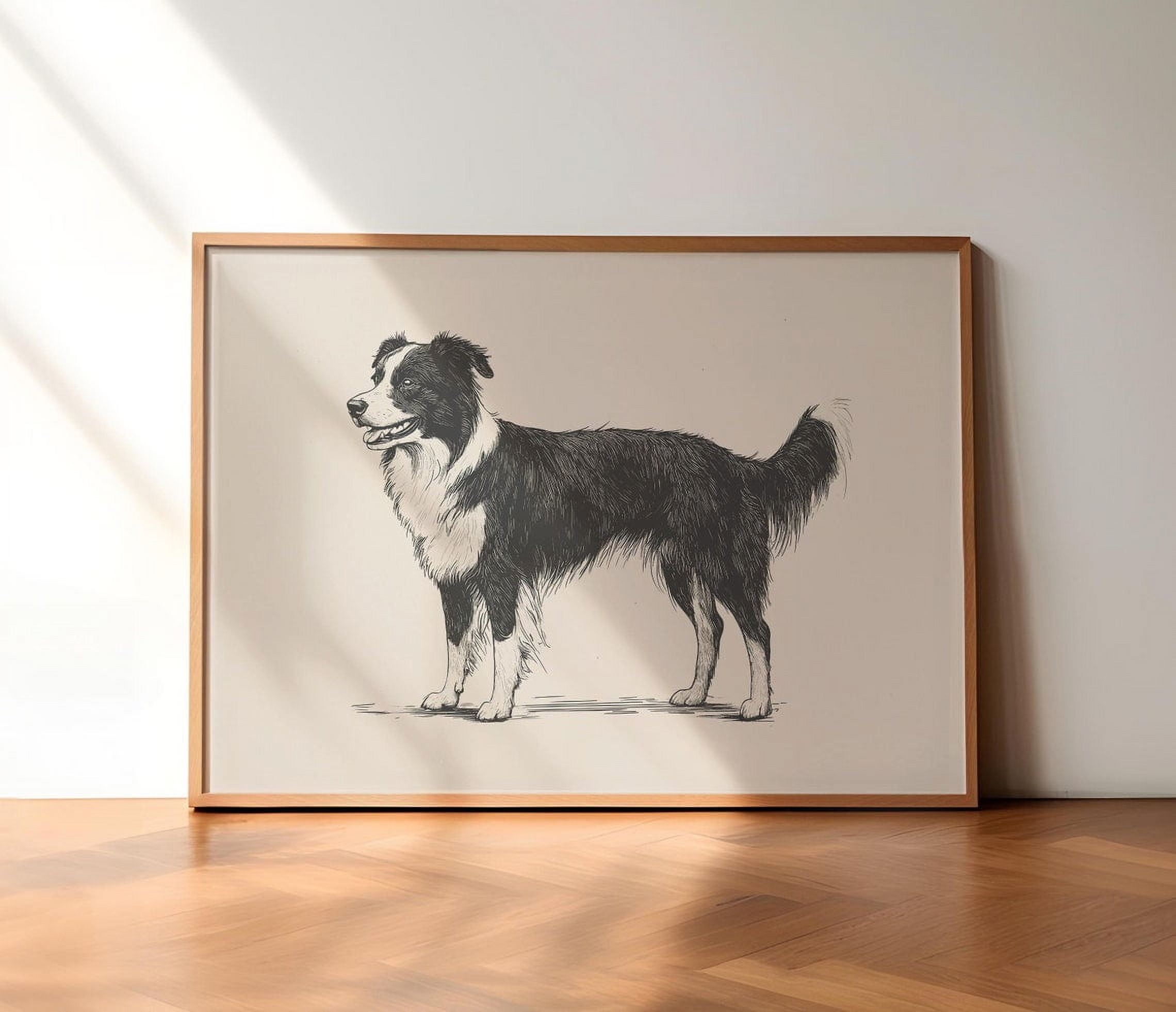 Dopaprint UNFRAMED PAPER POSTER Border Collie Vintage Print, Dog Retro ...