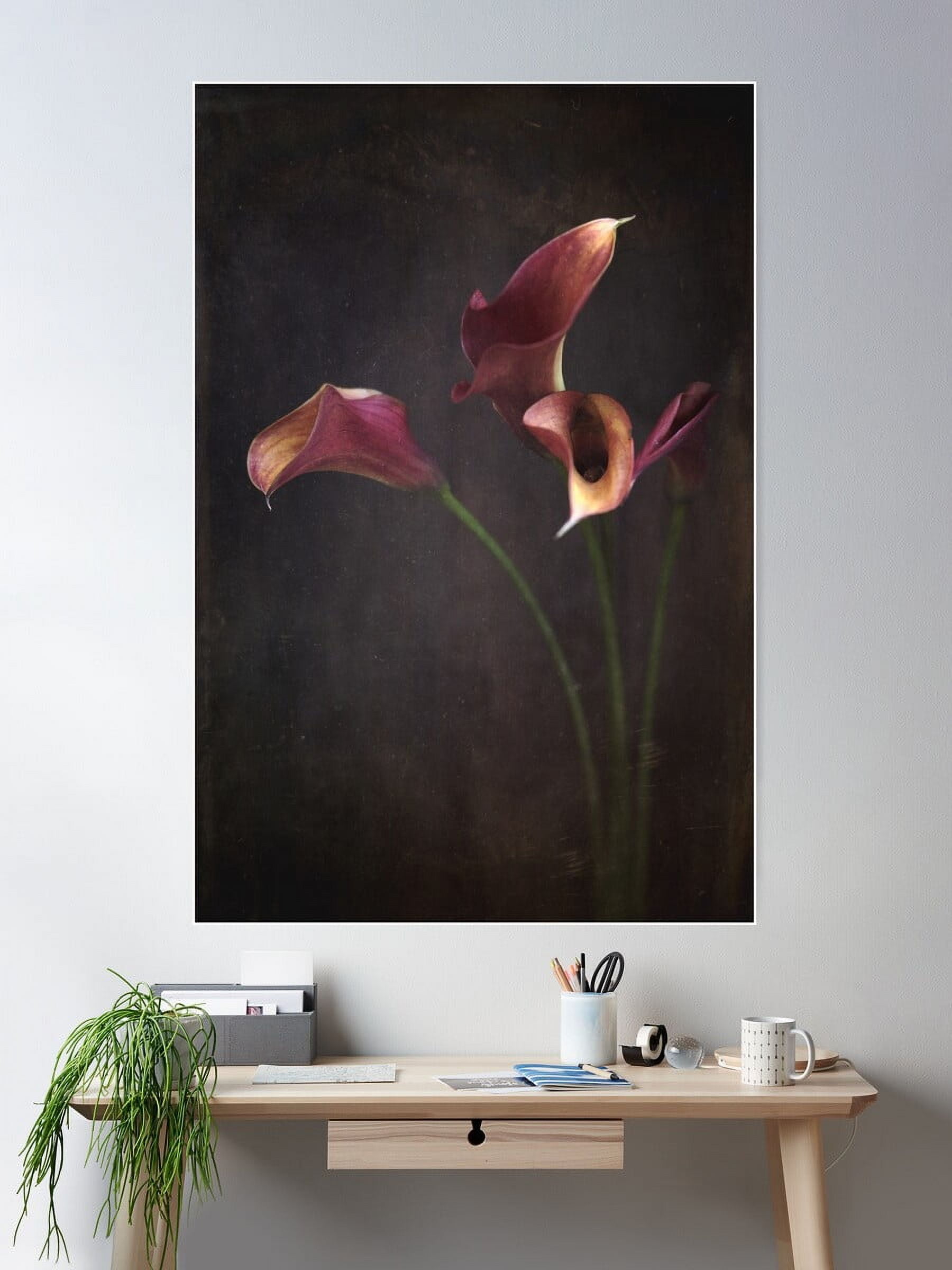 Dopaprint UNFRAMED PAPER POSTER Calla Lily Poster Wall Art, Modern Wall ...