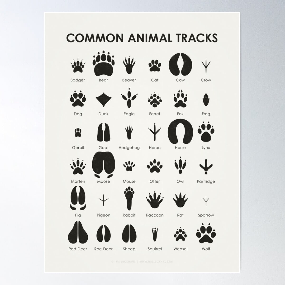 Dopaprint UNFRAMED PAPER POSTER Common Animal Tracks Identification Id ...