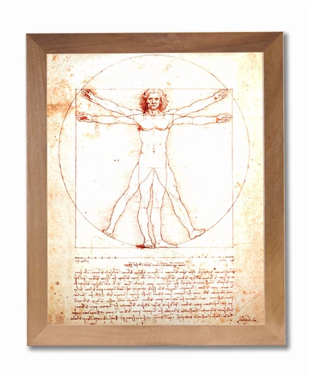Dopaprint UNFRAMED PAPER POSTER Davinci The Vitruvian Man Study Of Man ...