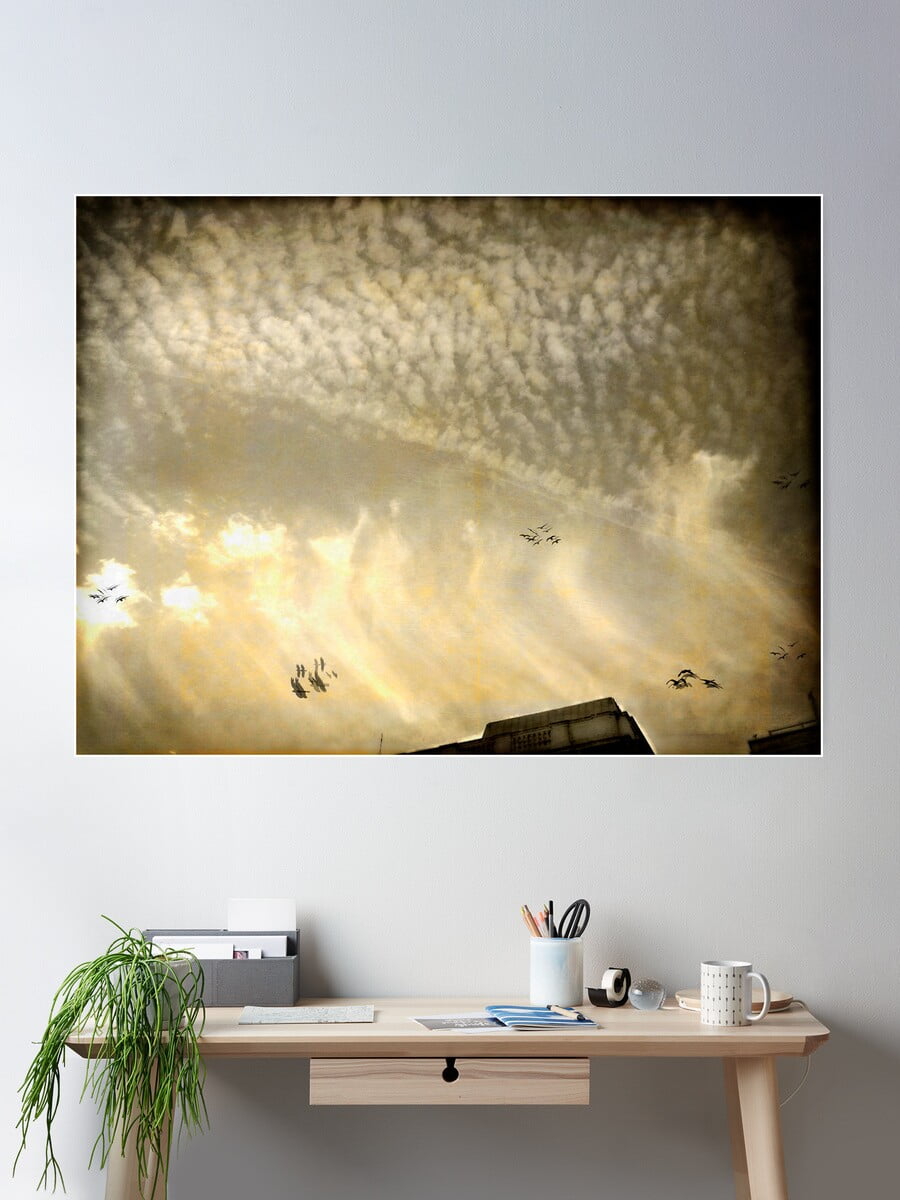 Dopaprint UNFRAMED PAPER POSTER Downward Migration Poster Wall Art ...